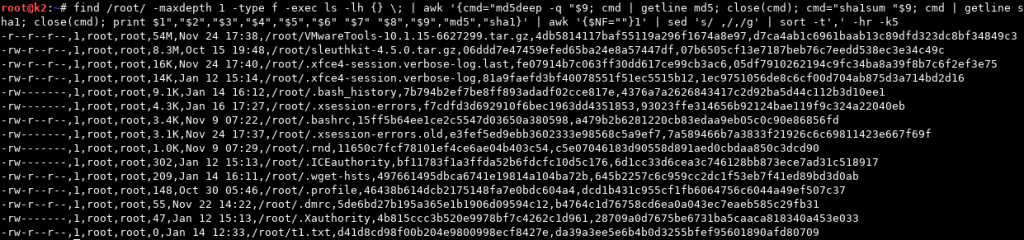 Generating File System Listings From The Command Line With Full Macb Timestamps And Hashes