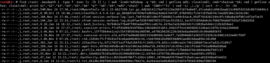 Generating File System Listings from the Command Line (with Full MACB ...